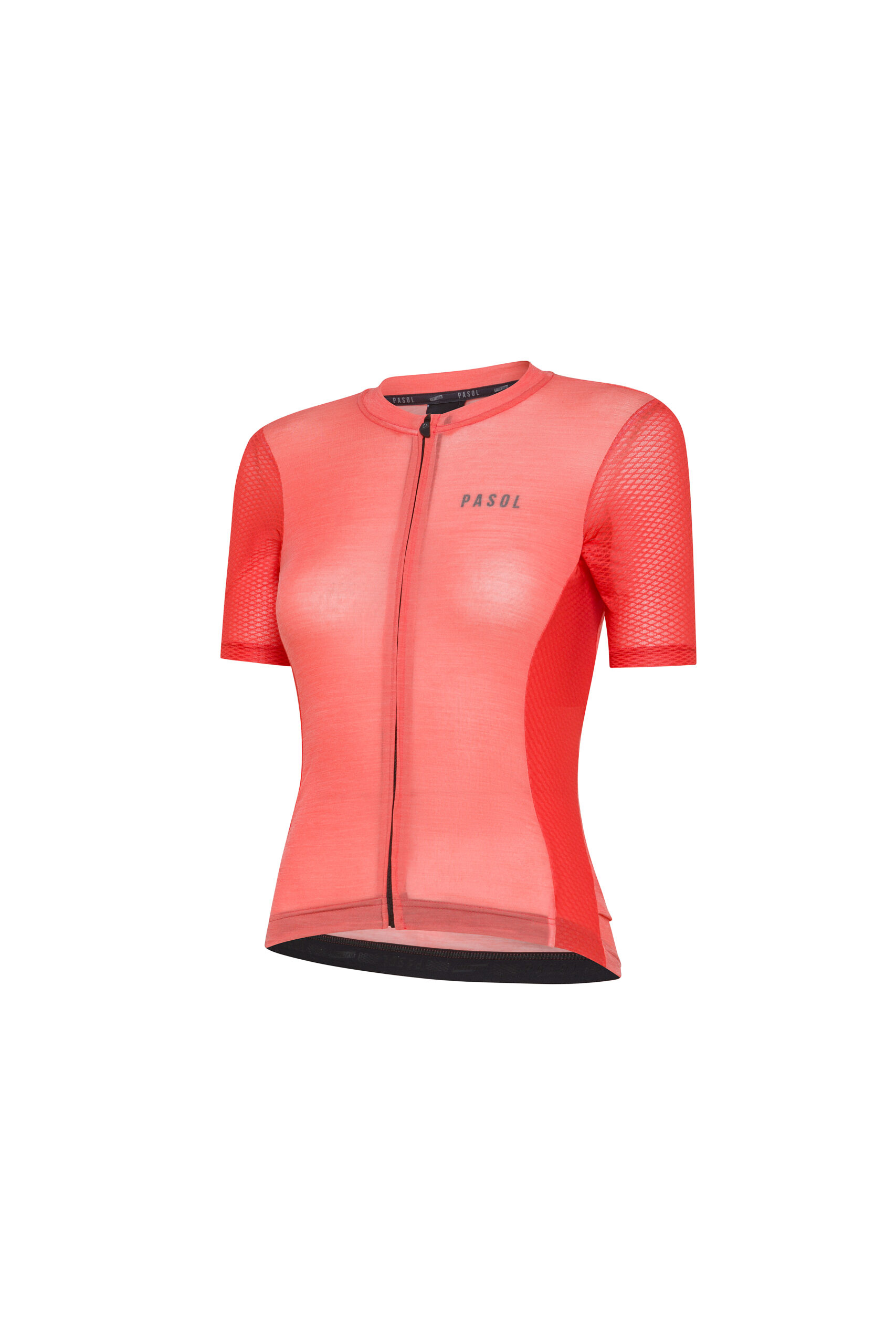 JS W ZANNA MERI | Pasol